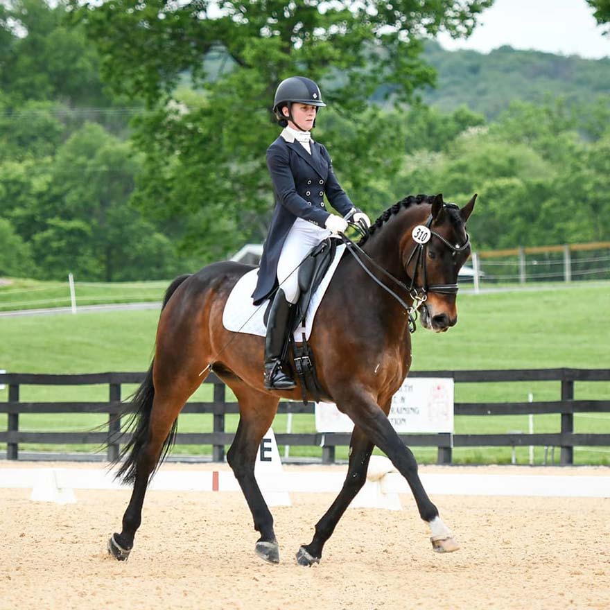 Gallery - Emily O’Neill Dressage